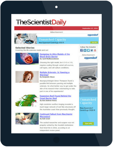 Sign up today to start your free newsletter subscription to The ...